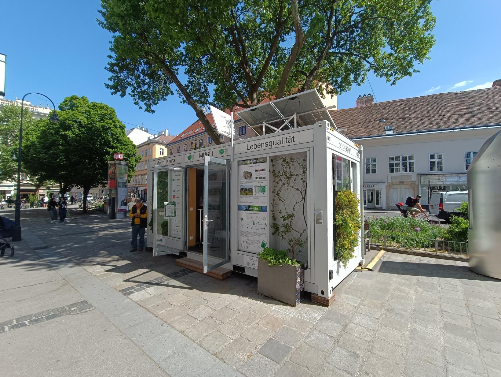 MUGLI in Margareten: Gemeinsam für mehr Grün in der Stadt! - GRÜNSTATTGRAU