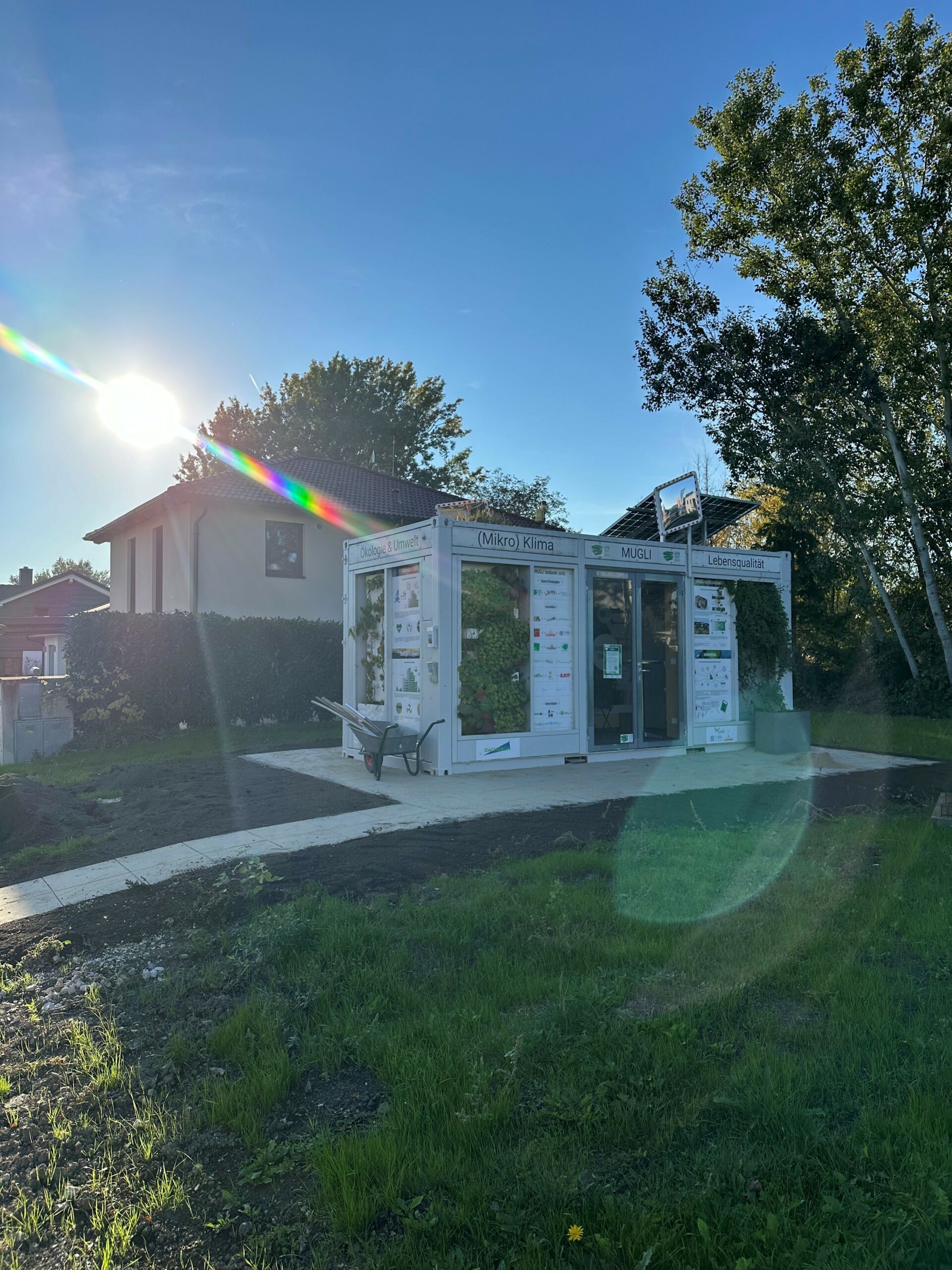 MUGLI auf Tour in der Blauen Lagune - GRÜNSTATTGRAU